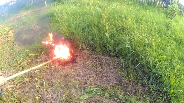 Землянные пчелы.mpg