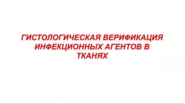 Морфология туберкулёзного воспаления