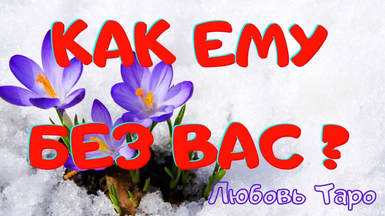 КАК ЕМУ БЕЗ ВАС? ?