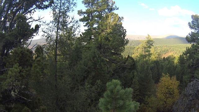 На Семинском перевале. Алтай.