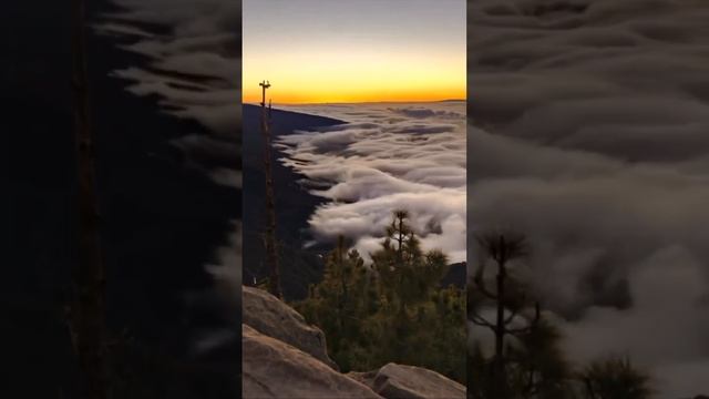 VID_20221221_221704_117.mp4