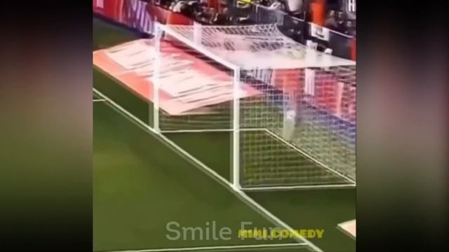 ПРИКОЛЫ С КОШКАМИ №465 Смешные Коты И Котята! Самые Милые И Прикольные!.mp4