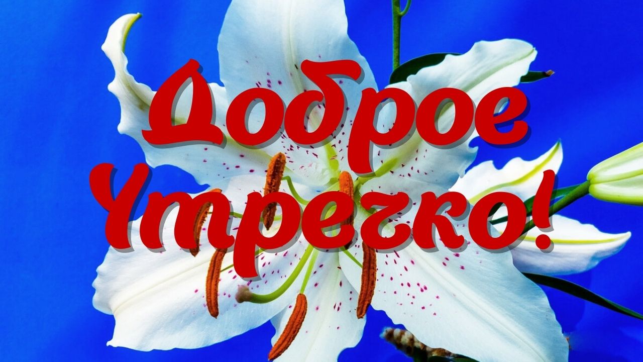 lv_0_20220413220856.mp4