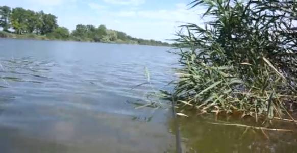 Рыбалка на реке Кочеты КРАСНОДАРСКИЙ край! Амур, карась, окунь, лещ на поплавочную удочку!