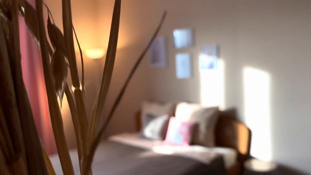 Квартира посуточно в Красноярке «Планета» | «Оптимум» на Взлетке | Краткий обзор | Apart Royal