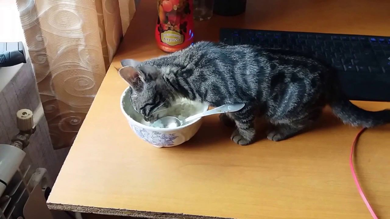 Второй месяц в доме.