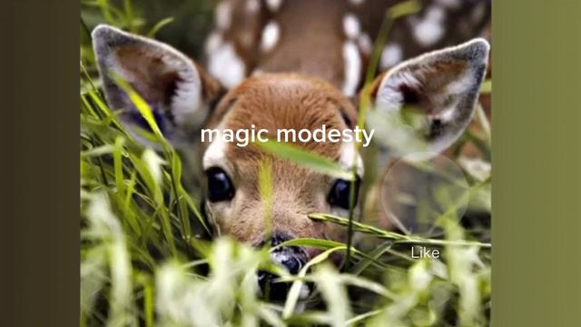 магическая скромность/sub#саблиминал