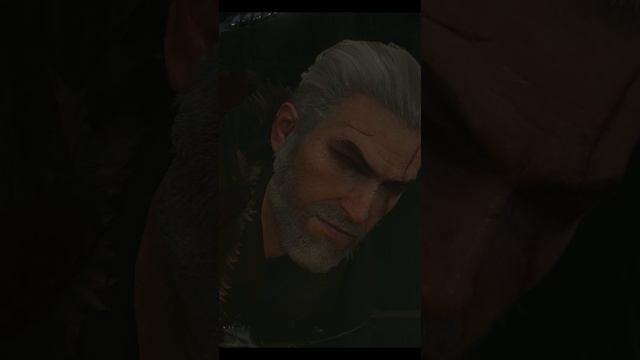 Ведьмак 3. Я составлю тебе компанию. По своей воле