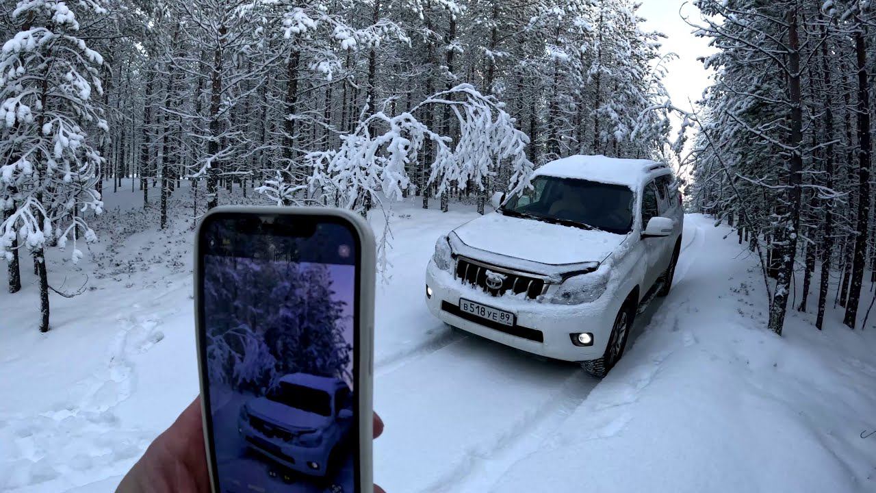 Снежный ноябрь, поехали в лес на Прадо