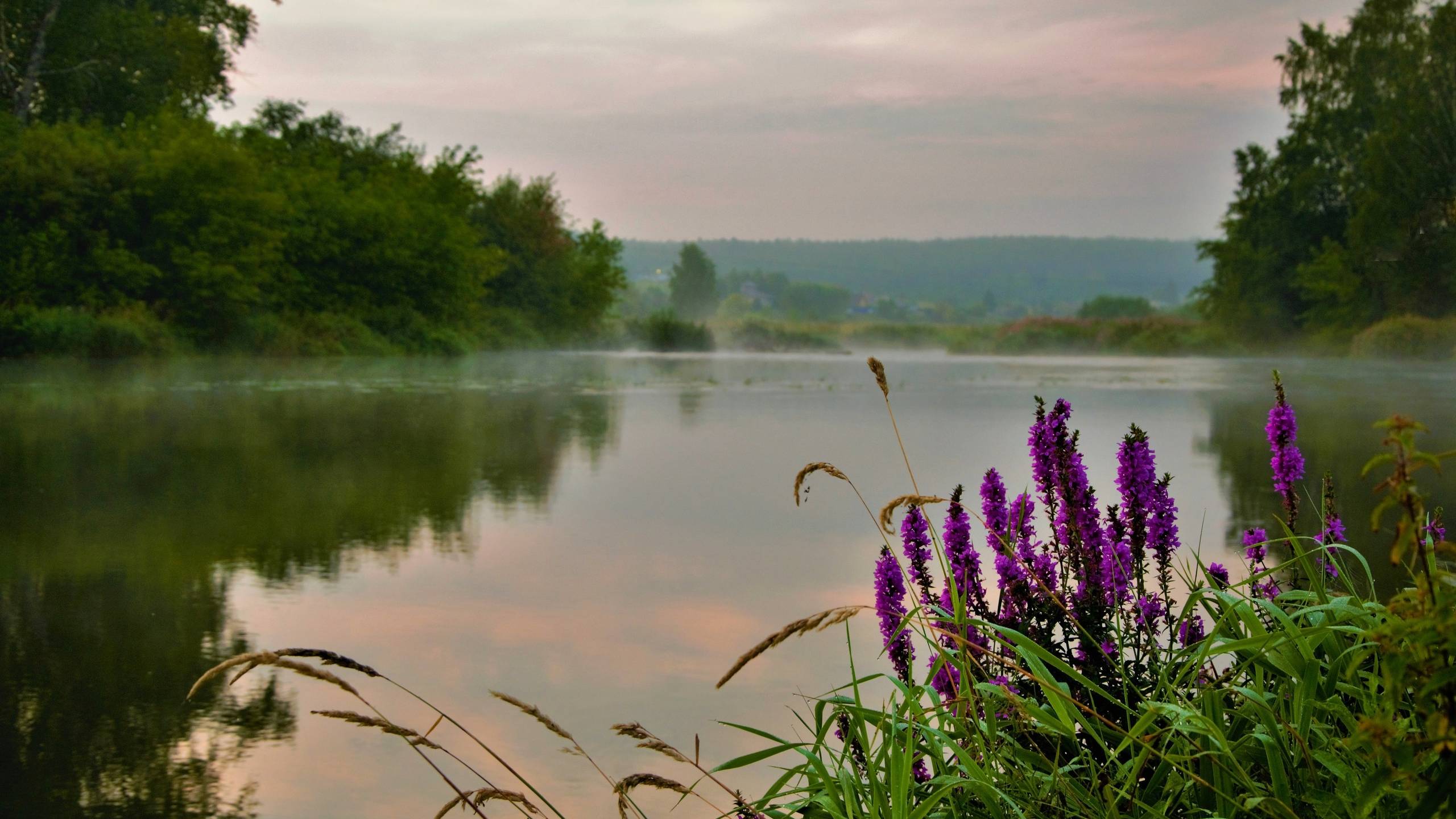 "ОТЦВЕЛА ЧЕРЁМУХА"... (Фото Александра ЯЦЕНКО (Магнитогорск) - УРАЛЬСКИЙ РУССКИЙ НАР. ХОР)