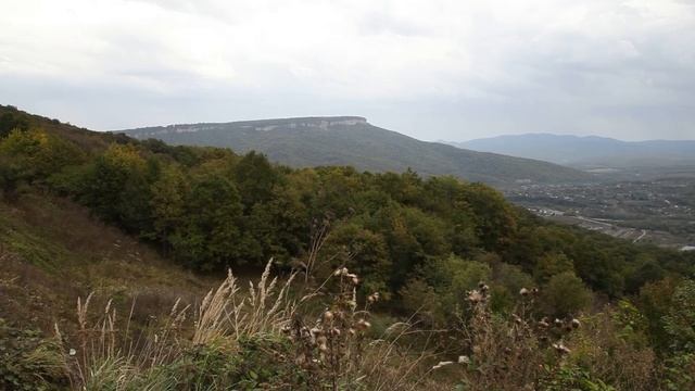 Низельник Ульяна МБОУСОШ № 4