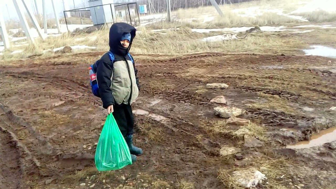 Ночные приключения Новости из теплицы на 7 апреля