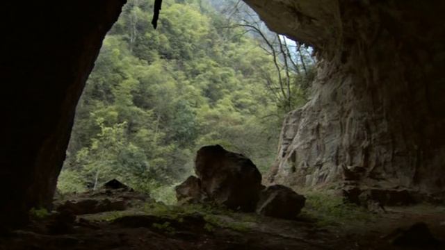 Дикий Китай - Сердце Дракона 1 часть