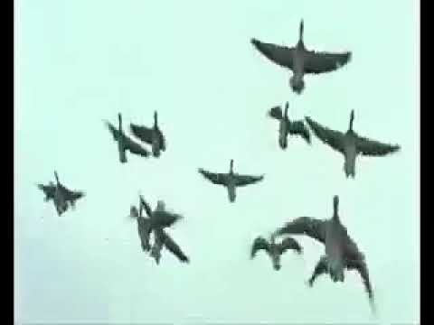 Путешествие с Ветром на крыльях Любви