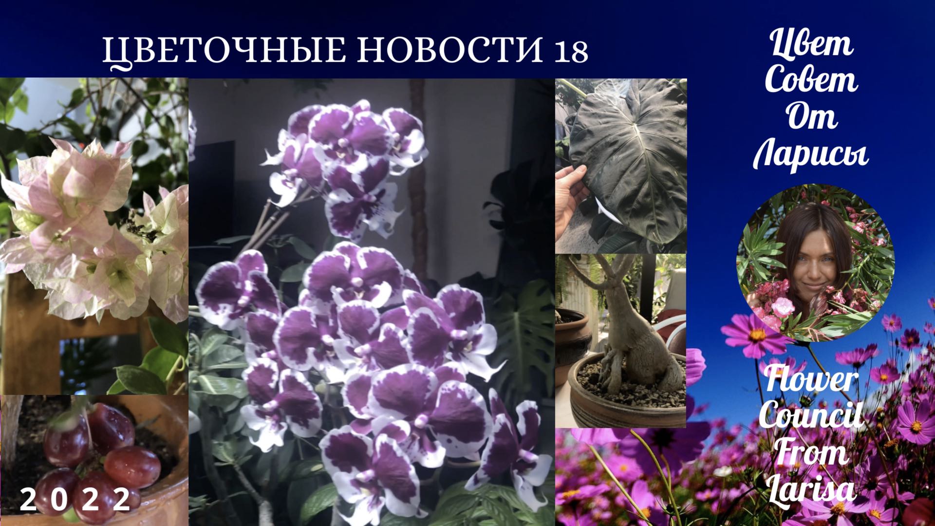 ЦВЕТОЧНЫЕ НОВОСТИ 18.mp4