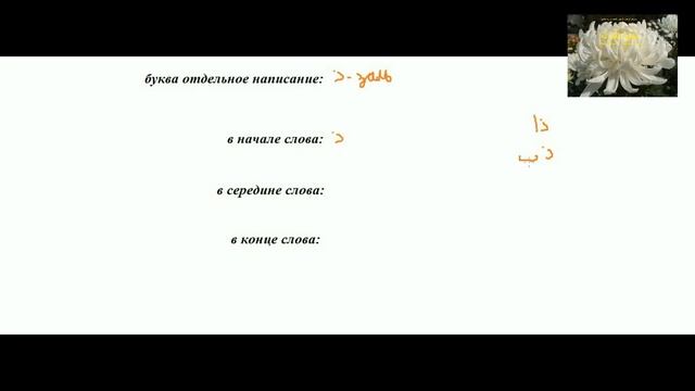 9 буква заль   арабского алфавита.