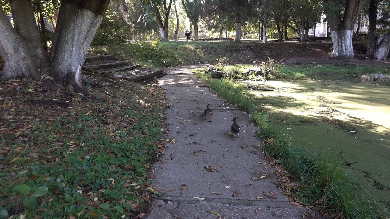 Гуляем вдоль озера (10.09.2023)