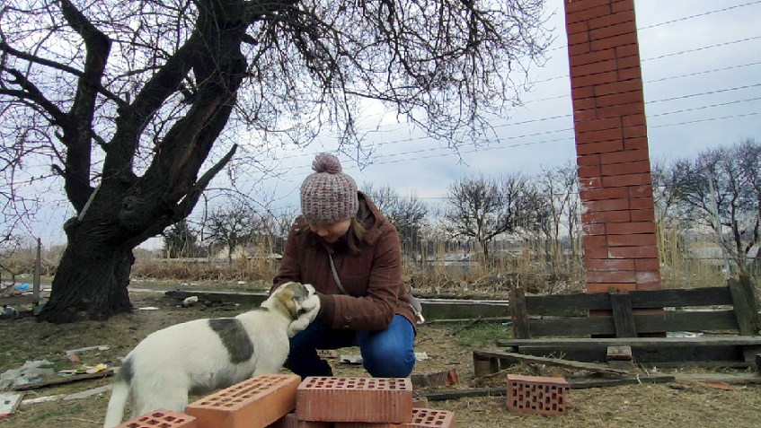 Кормим бездомных собак, узнаем тайны ж/д переездов, супер костюм на утренник | снежный март