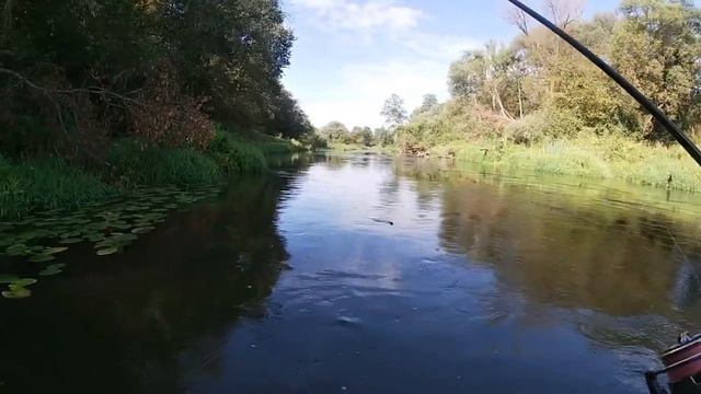 Rodio Craft 999.9 Four Nine Meister 64H _ Рыбалка Ультралайт.