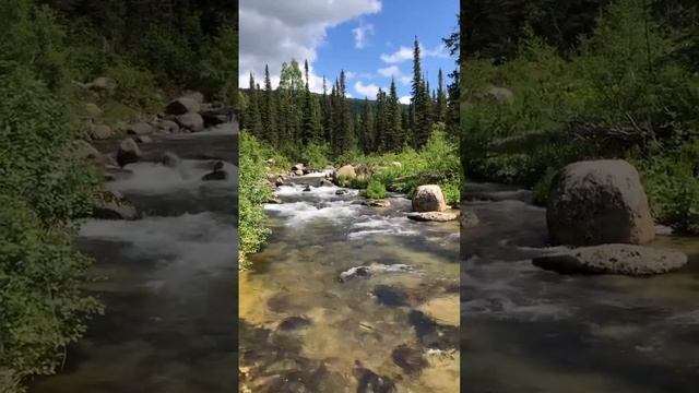 #Россия - Горная речка Малый Шатай возле хребта Скалистые горы