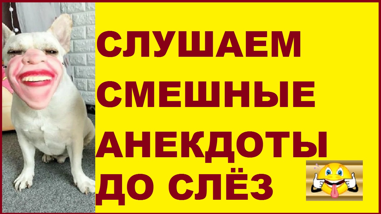Анекдоты смешные до слёз! Пожилой мужик пришёл в бар! Прикольный юмор!