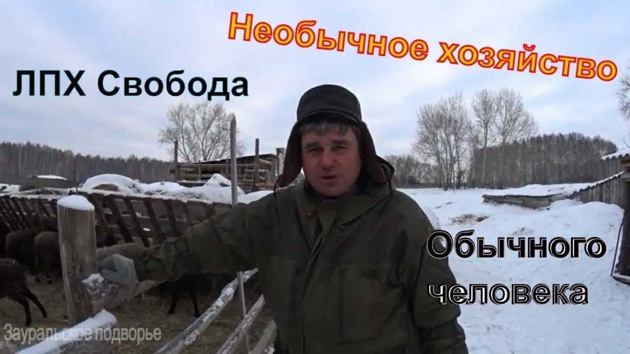 Ферма в глуши В гостях у Александра Деревенская жизнь