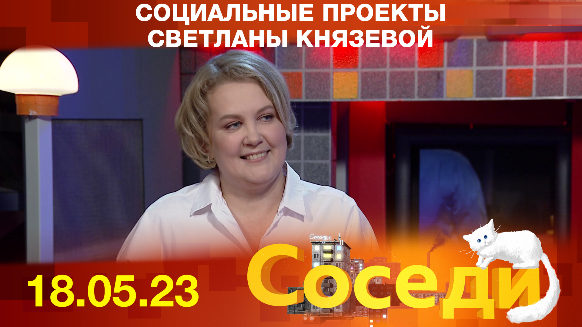 Социальные проекты Светланы Князевой. Соседи