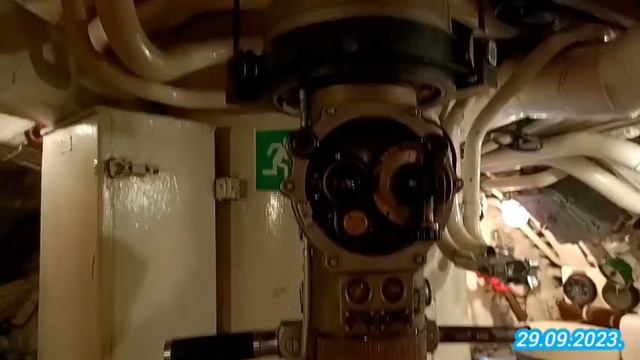 5-день.29.09.2023.Тойота Румми.