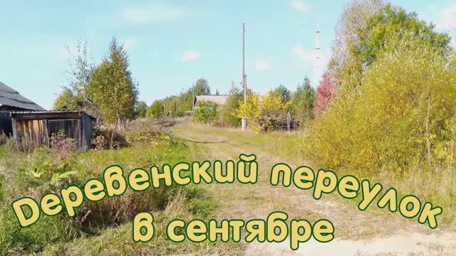 Деревенский переулок в сентябре.mp4