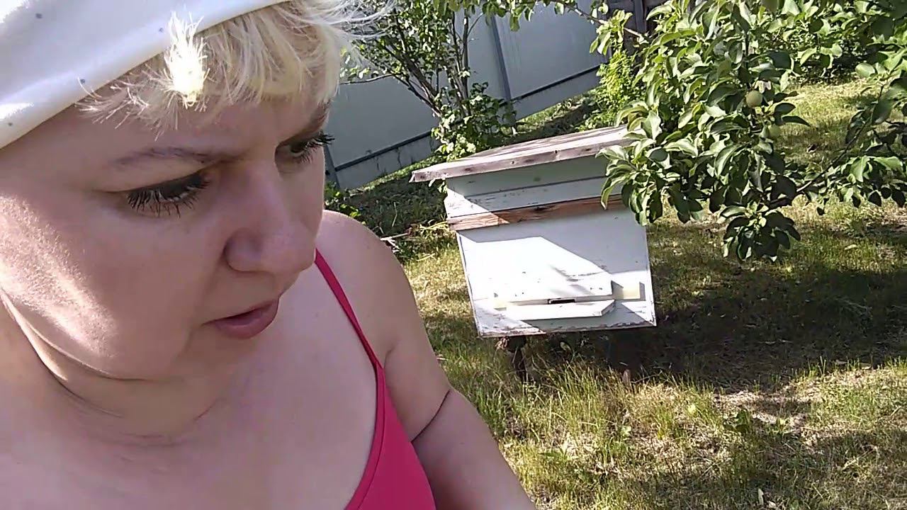 Ем ягоды, Филимон нарезает круги от радости.