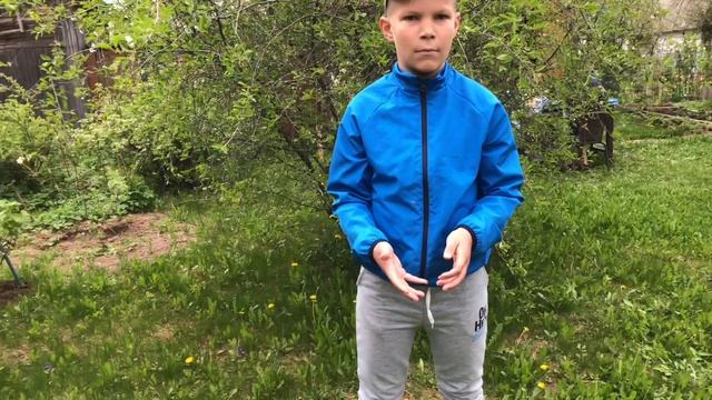 ?Типы теннисистов?