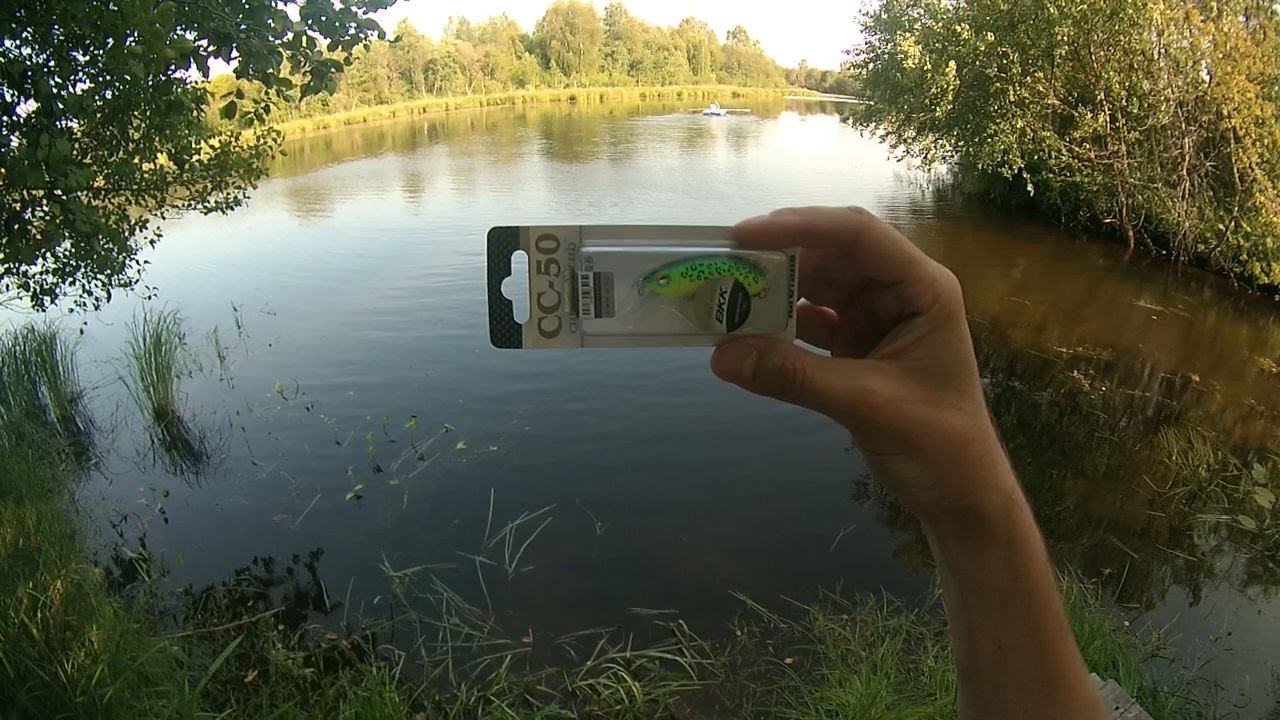 Рыбалка на лесном озере Lurefans  cunning cub сс-50