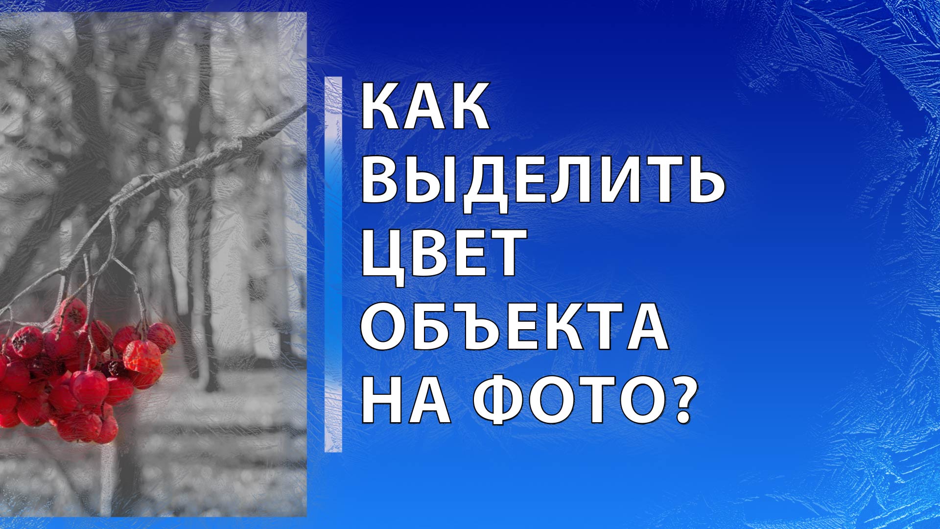 Выделяем цвет на фотографии в приложении Picsart