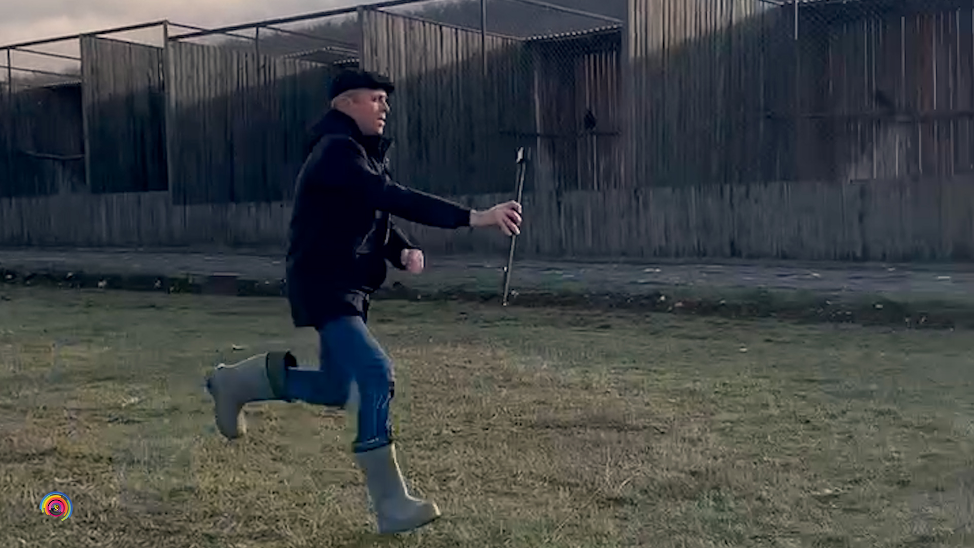 Фрагмент сюжета про хищных птиц