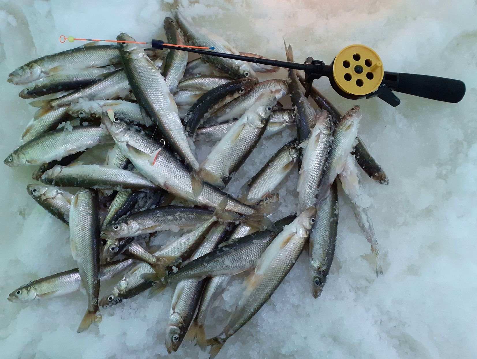 Вежма! Белое море!.mp4