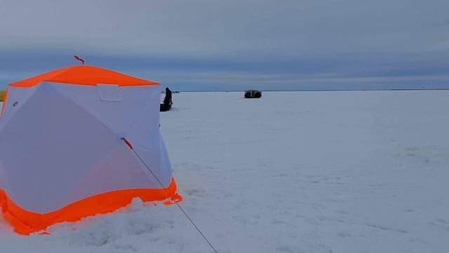 Под Кумбышем 27.02.2022.. Зимняя рыбалка на Северной Двине.
