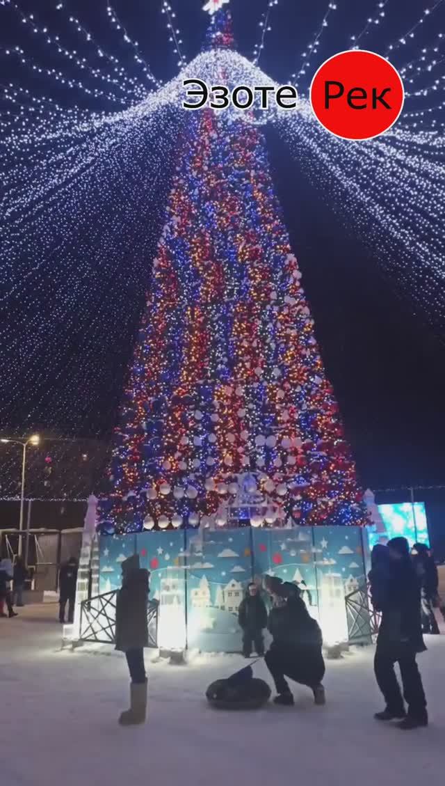 Ёлка в нашей деревне