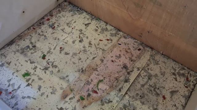 Дробилка канистры 10 литров дробилка МИ-700 сетка 12 мм.mp4