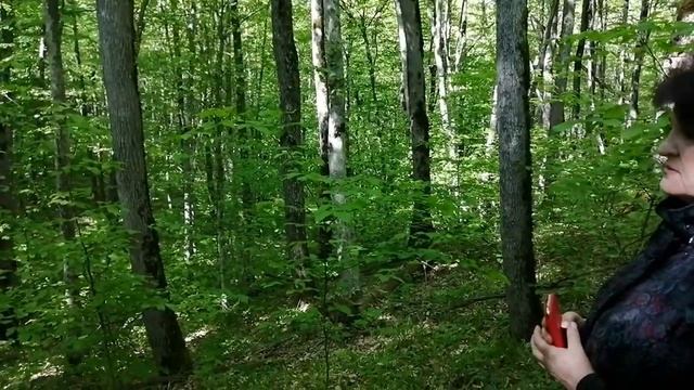 Дендро экскурсия в Апшеронском районе Краснодарского края