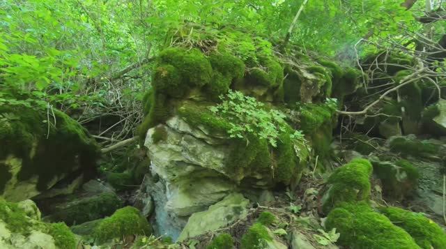 Каменный хаос в 2,7к 60fps. Гора Стрижамент. Ставропольский край. Экологическая тропа. Релакс.