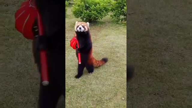 Что праздники уже кончились.