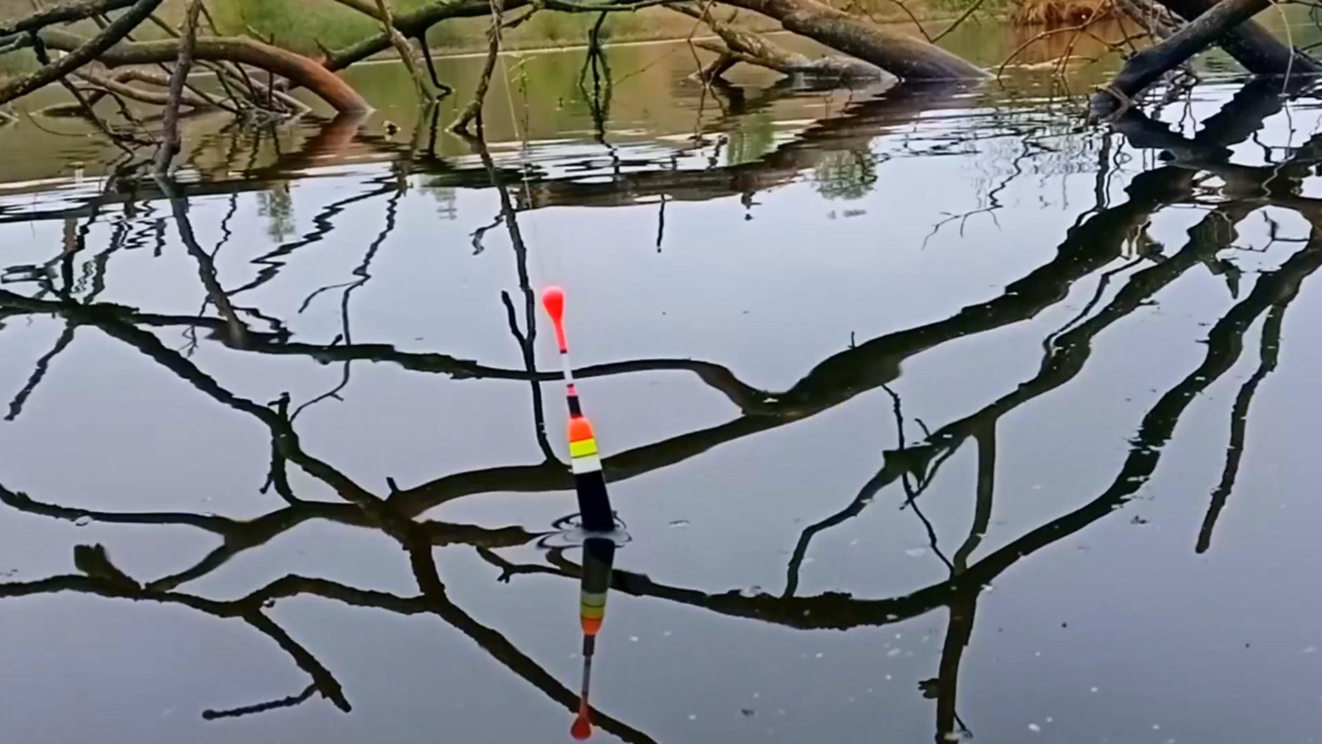 БЕШАННЫЙ КЛЁВ КАРАСЯ НА ПОПЛАВОЧНУЮ УДОЧКУ !!!