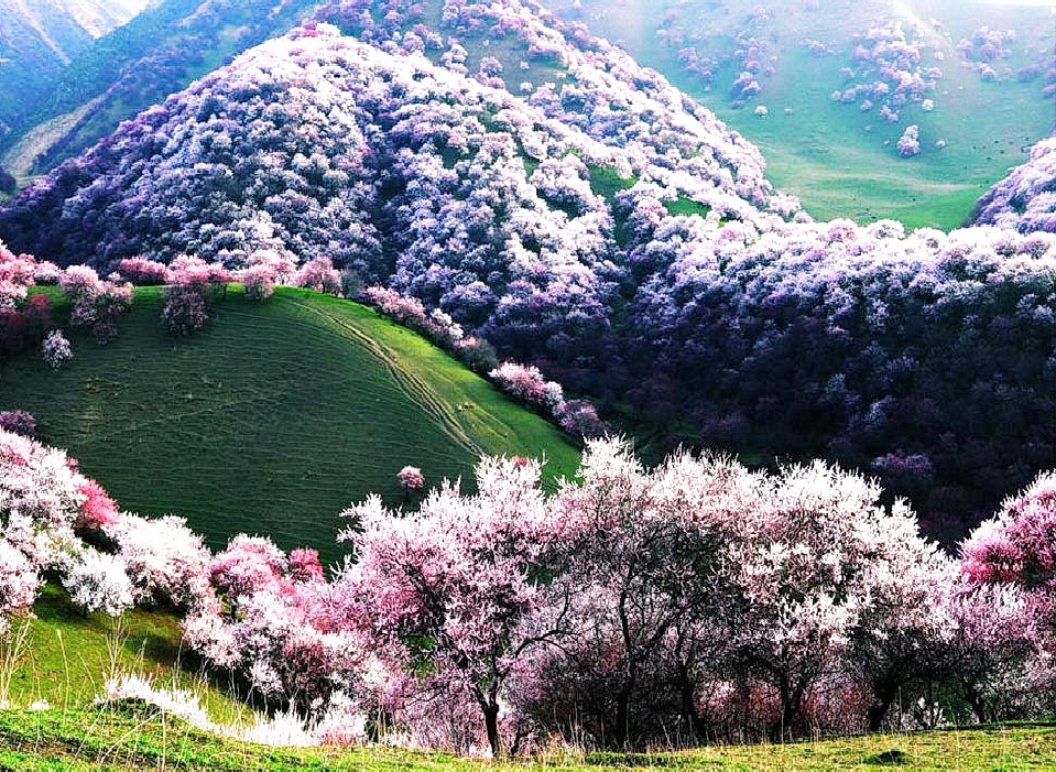 Мелодия планеты