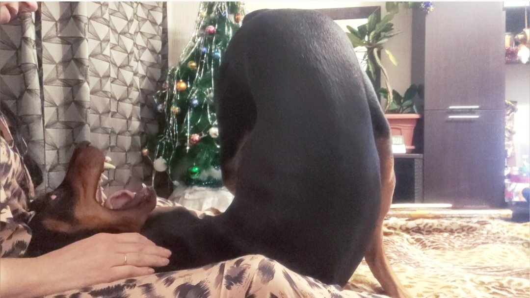 Игры Добермана Лорда.