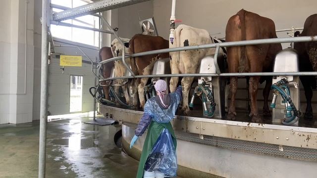 Молокозавод «Белое озеро»