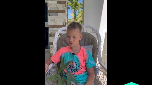 Отзыв Тимми