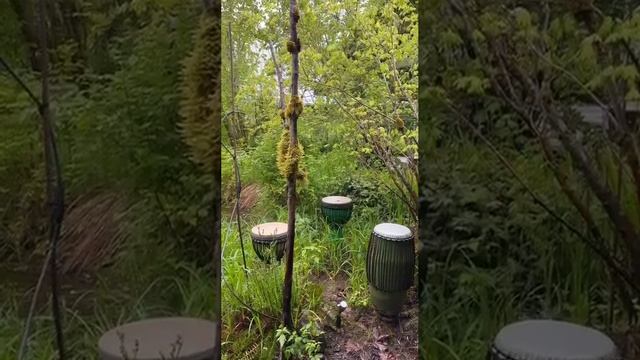 Мать-природа умеет делать этот бит