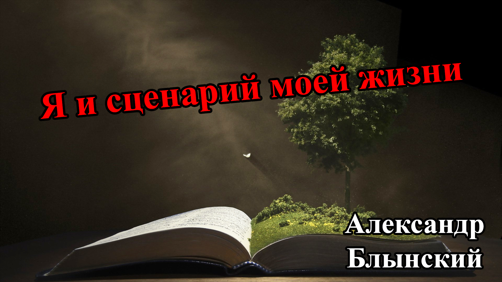 Я и сценарий моей жизни