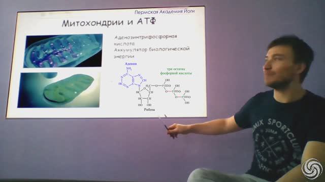 12.17. Пранаяма физиологические и эзотерические аспекты