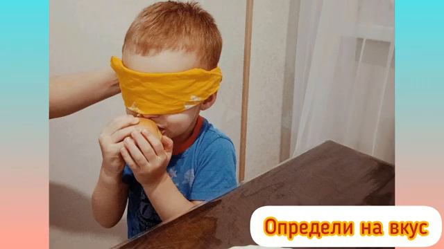 Сенсорные игры для детей раннего возраста.mp4